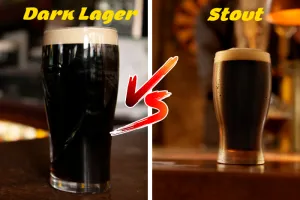Uncork the Difference: Dark Lager vs Stout